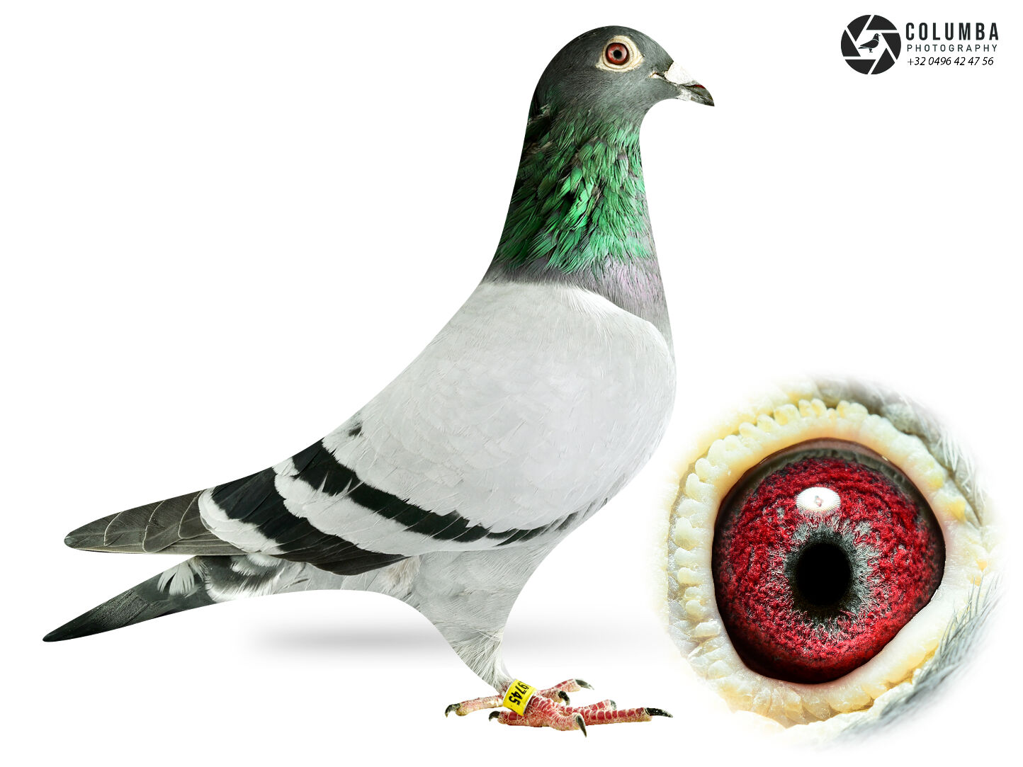 Double Porsche 745 | PIPA