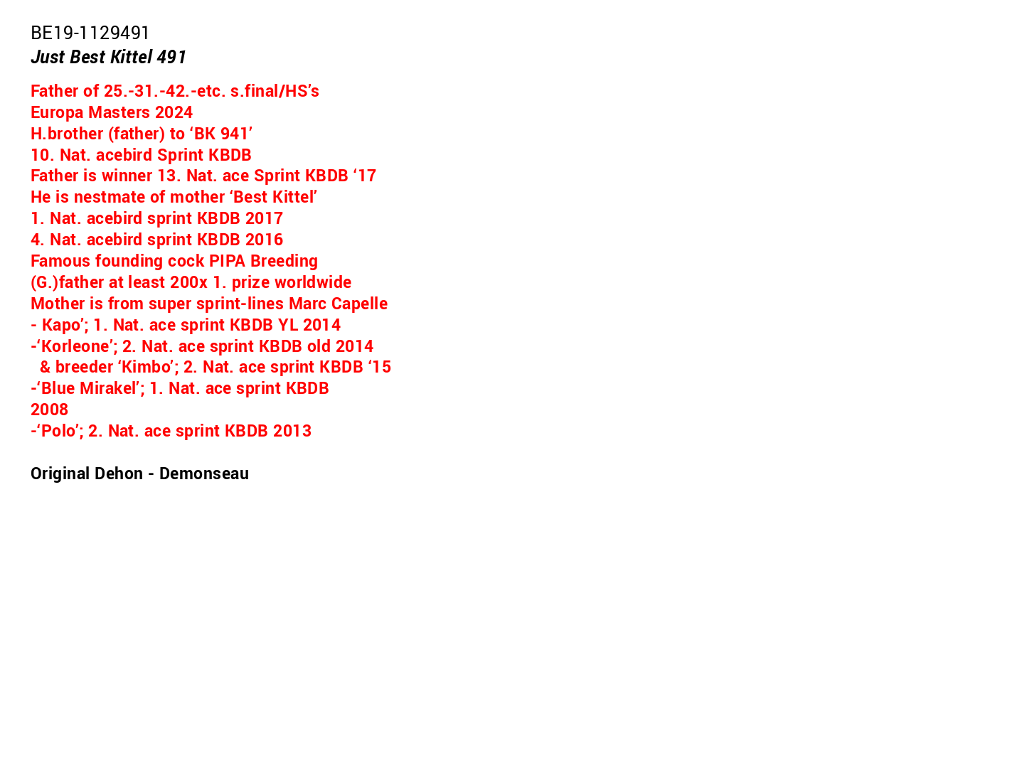 Just Best Kittel 491 | PIPA