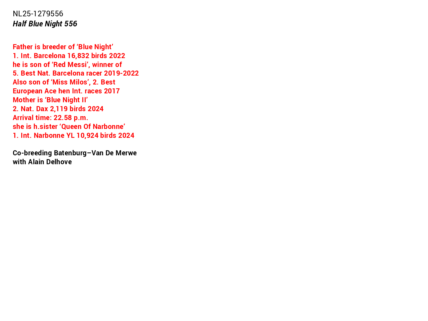 Half Blue Night 556 | PIPA