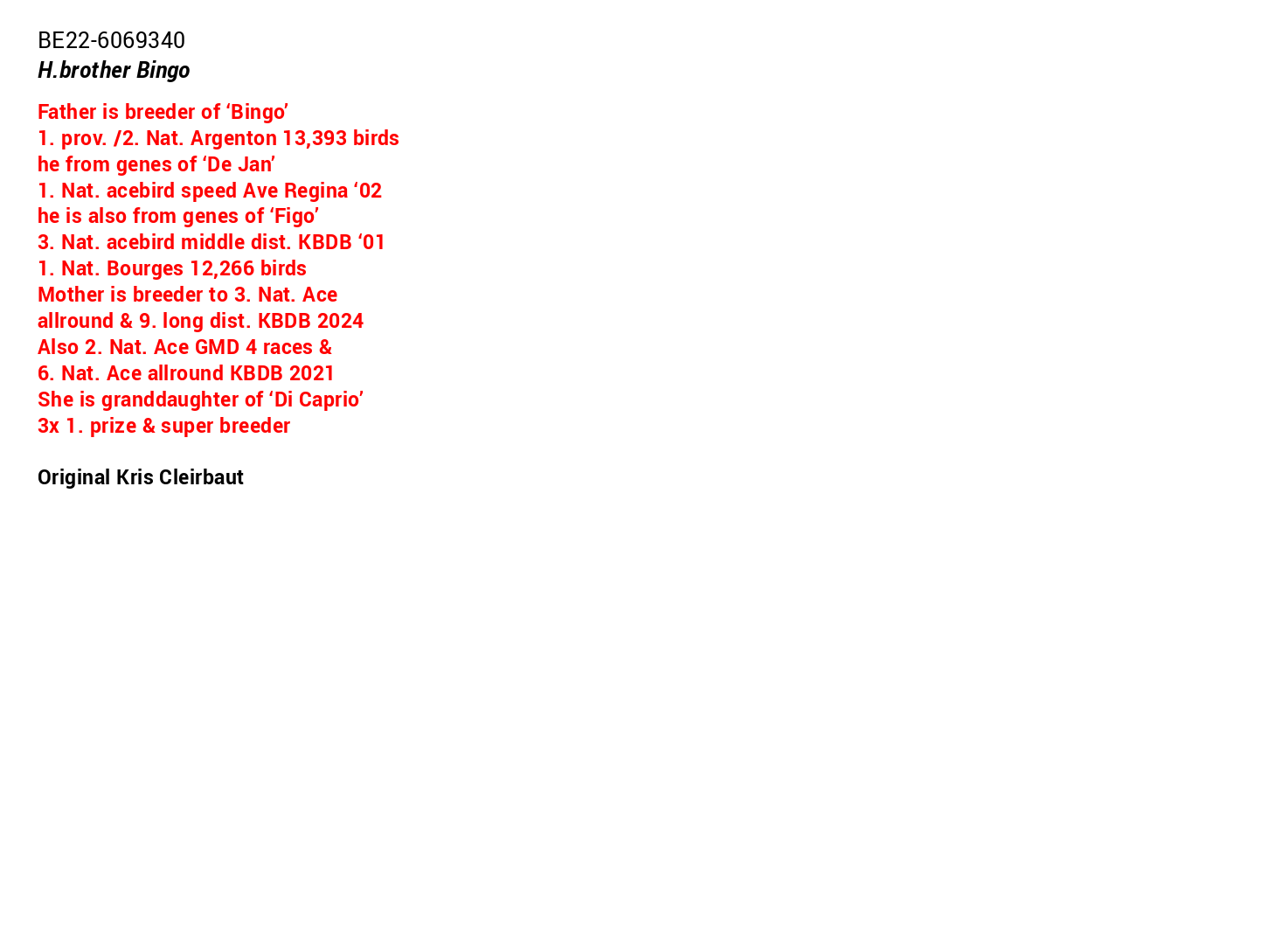 H.brother Bingo | PIPA