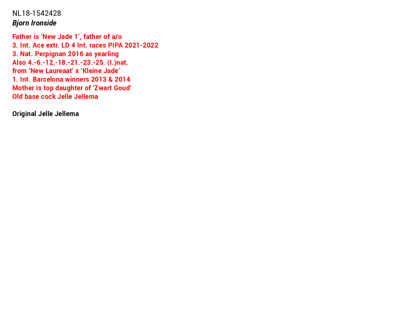 Bjorn Ironside | PIPA