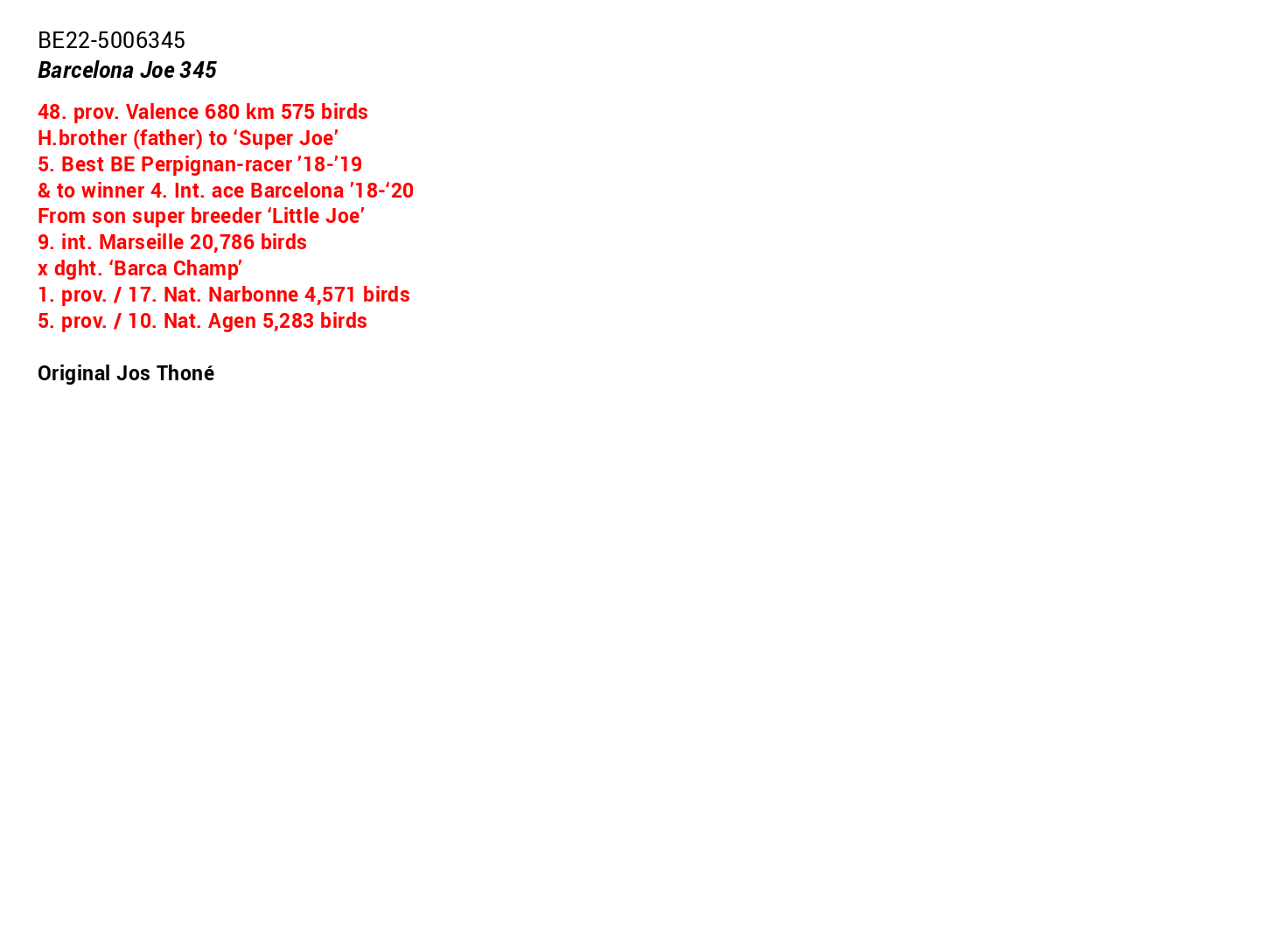 Barcelona Joe 345 | PIPA