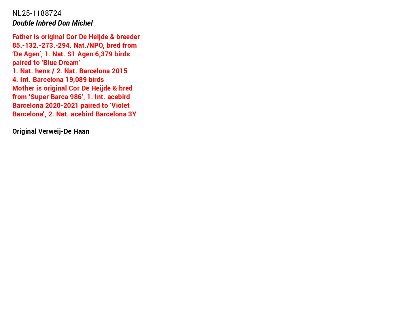 Double Inbred Don Michel | PIPA