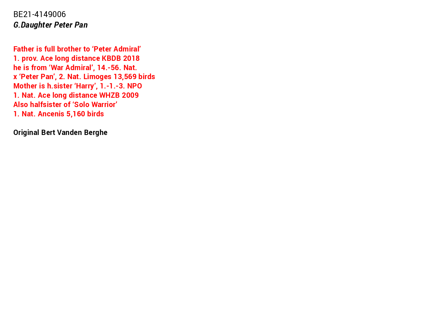 G.Daughter Peter Pan | PIPA