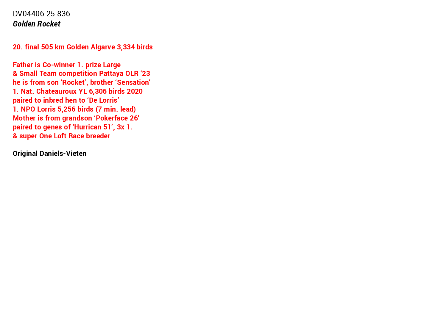 Golden Rocket | PIPA