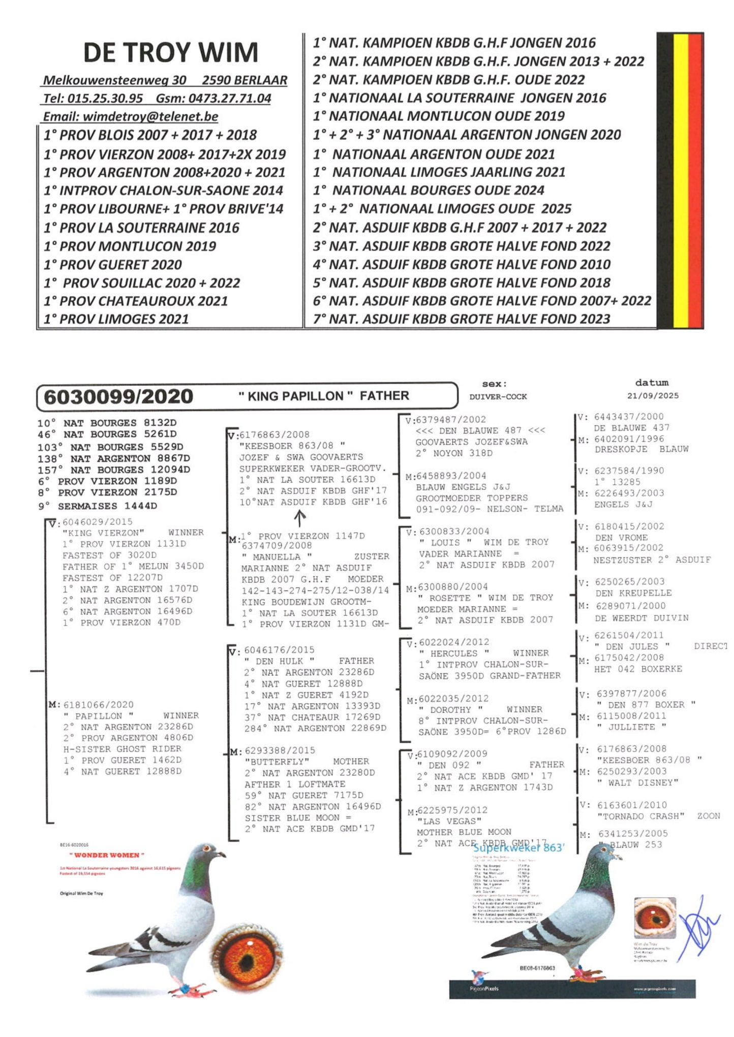 King Papillon | PIPA