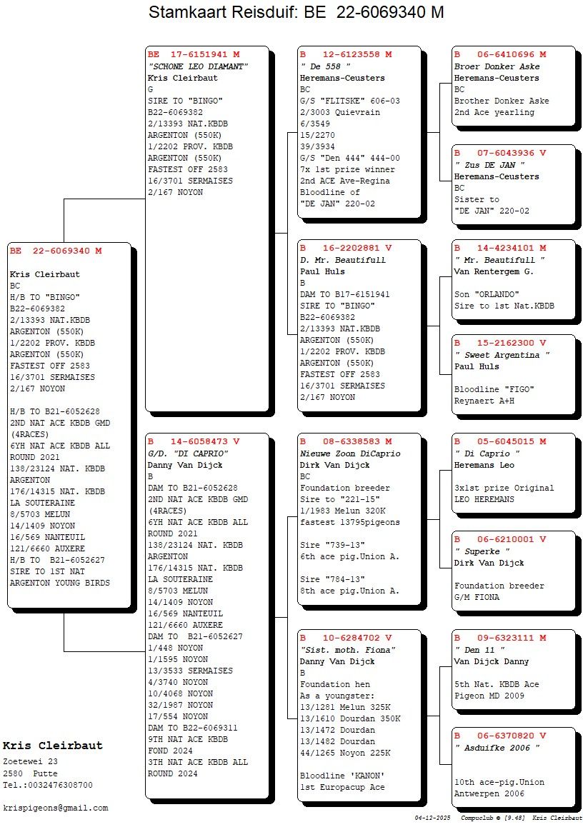H.brother Bingo | PIPA