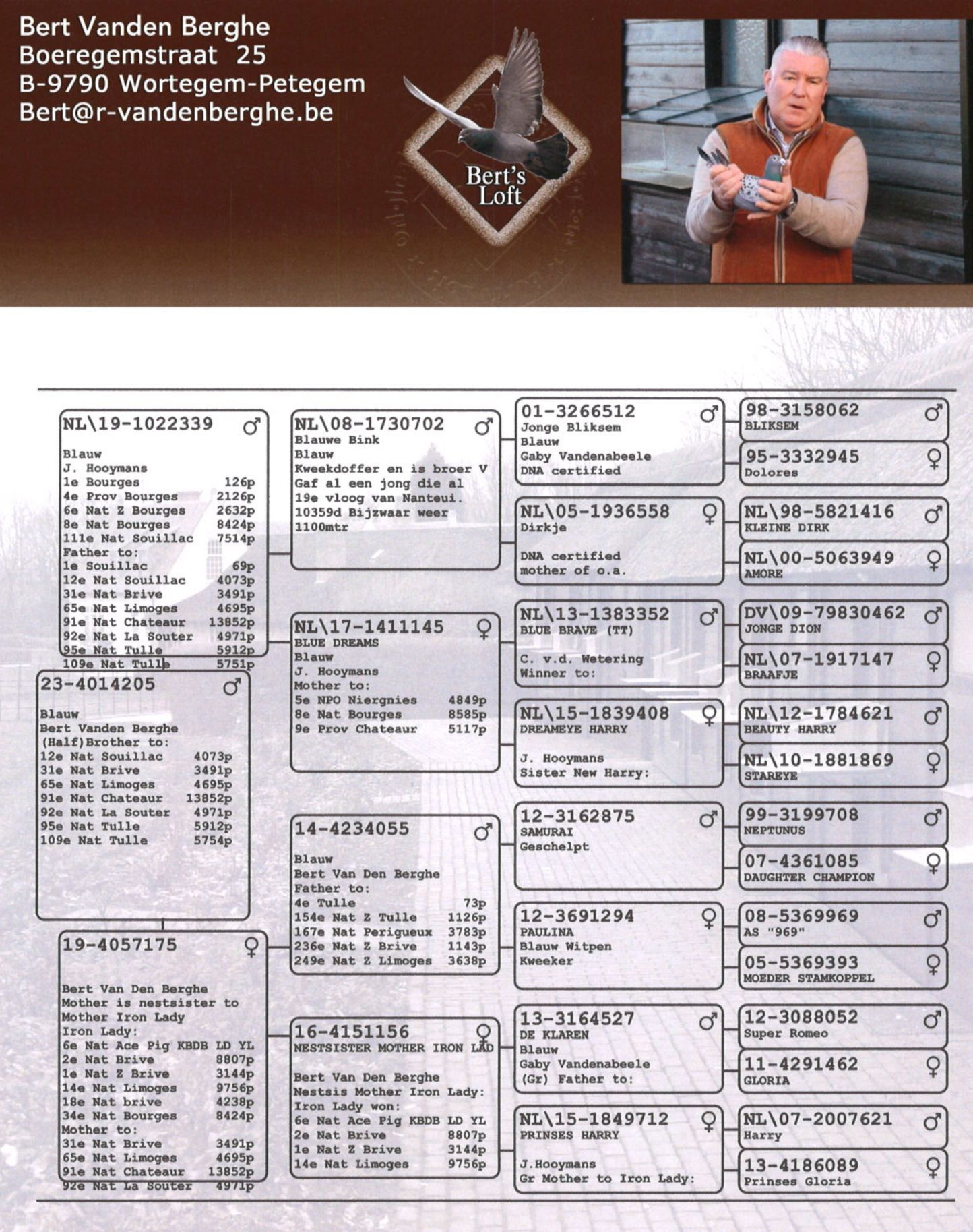 Brother Iron Dream | PIPA