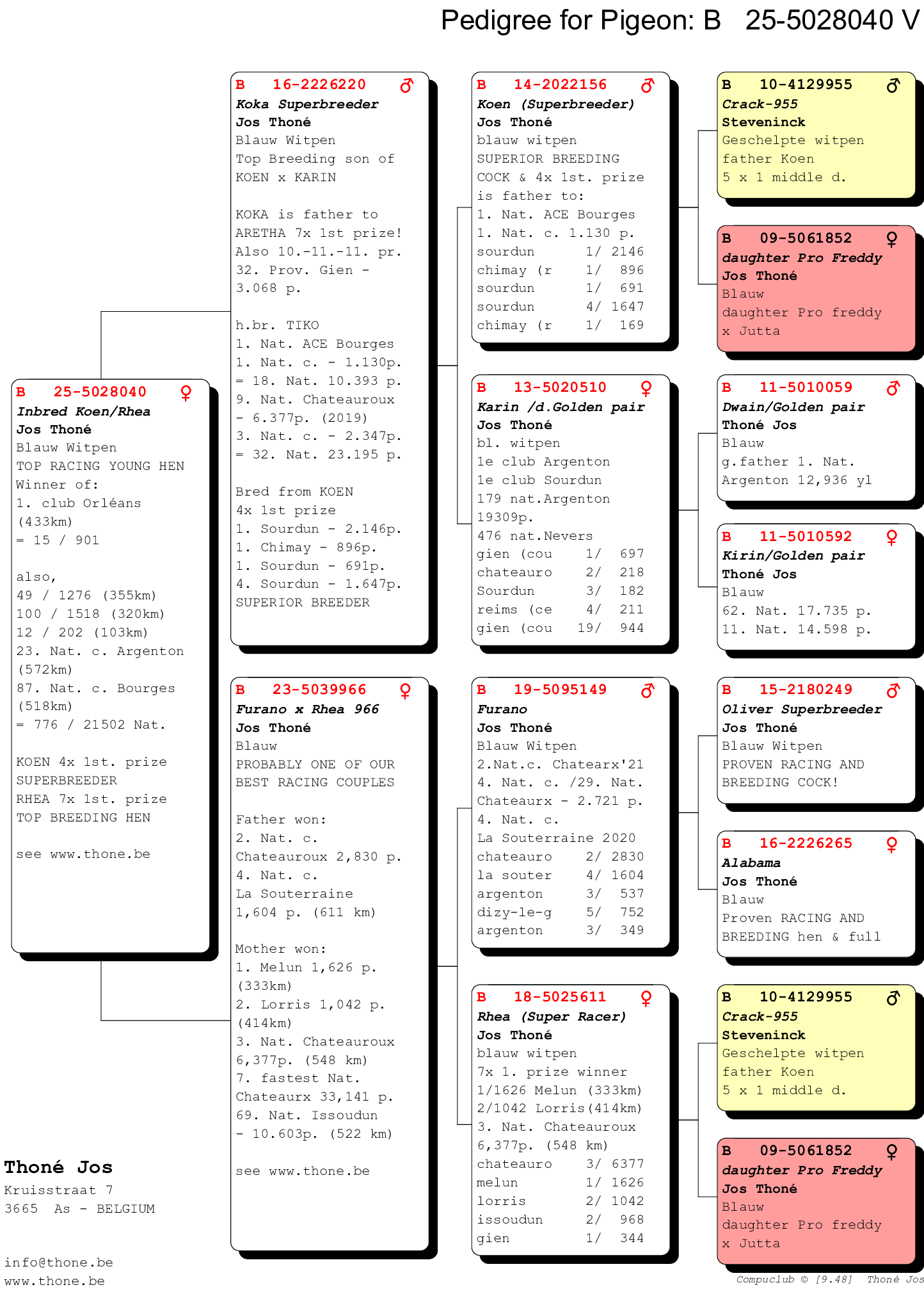 Inbred Koen Rhea 040 | PIPA