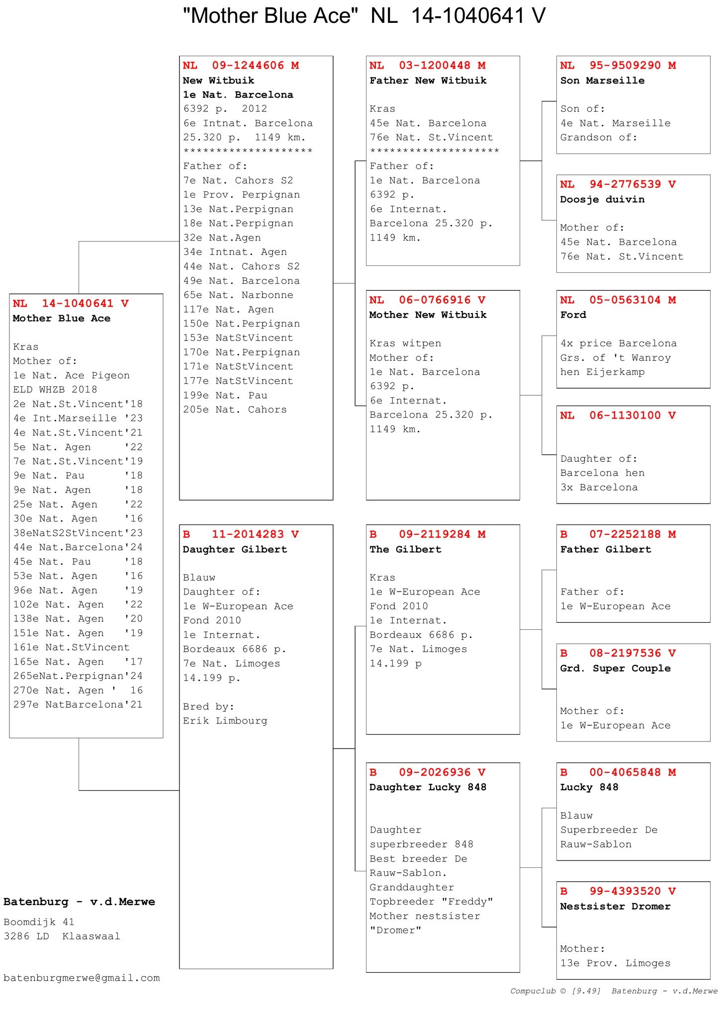 Mother Blue Ace | PIPA