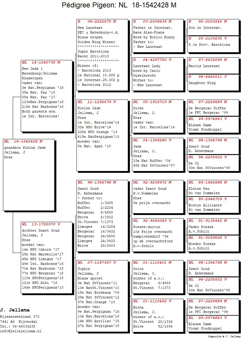 Bjorn Ironside | PIPA