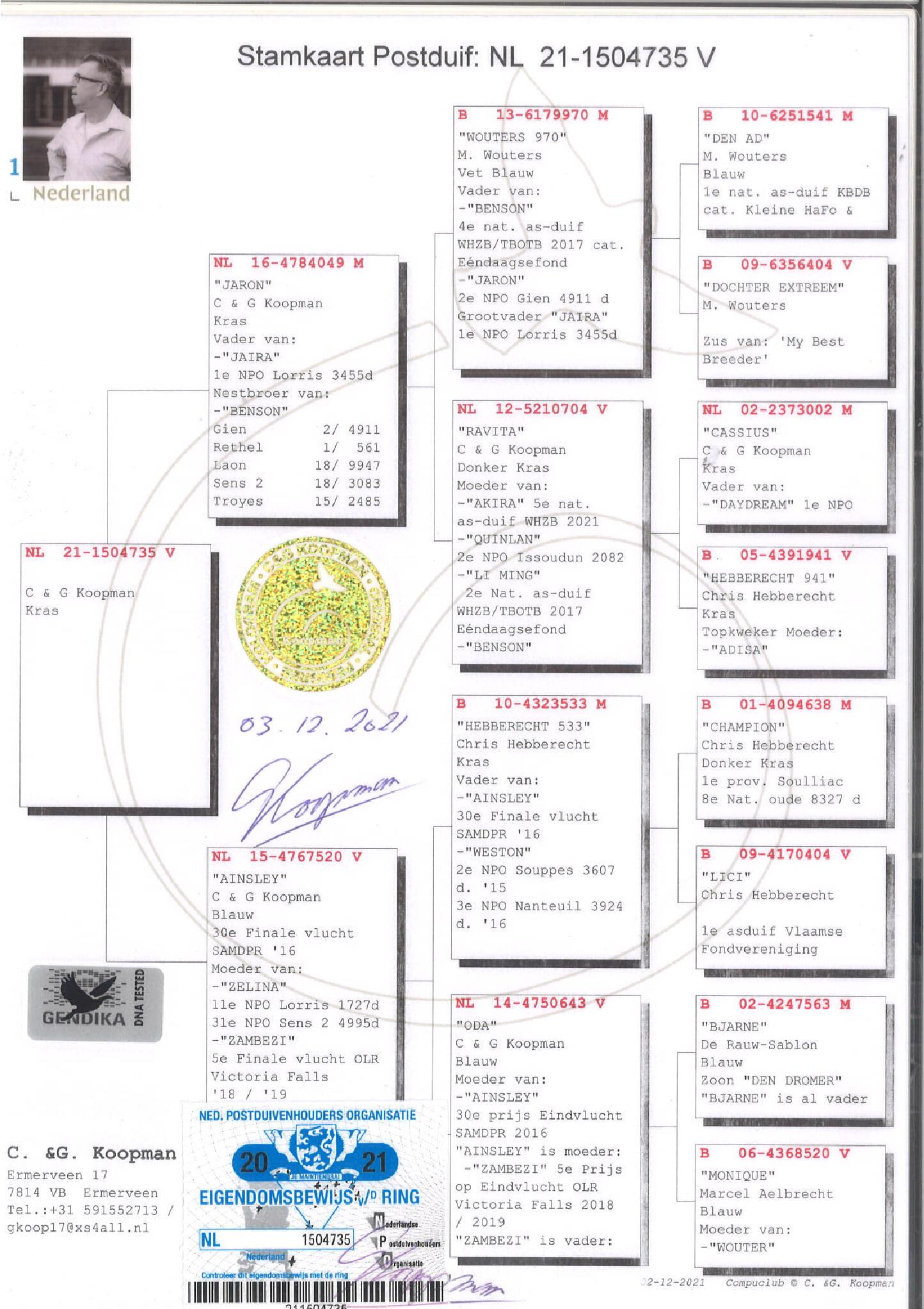 Daughter Jaron | PIPA