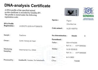Inbred Lady Milos II | PIPA